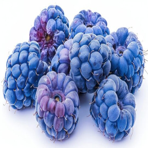 GOODIES - Ice Blue Raspberry – Vegetable Glycerine