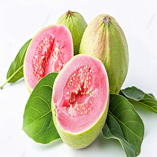 Huckabuck - Pink Guava Lychee Ice – Vegetable Glycerine